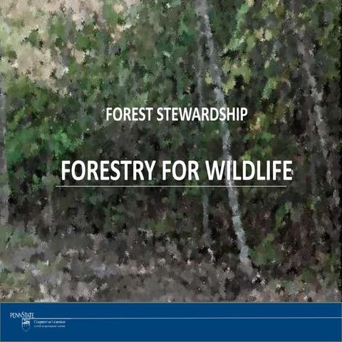 Forestry for Wildlife | PPTX