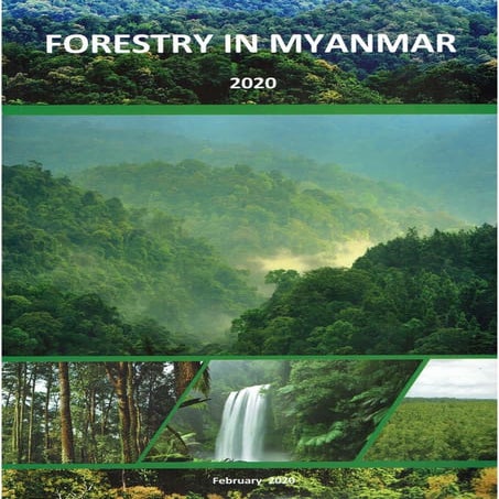 Forestry_in_Myanmar_2020_0 (2).pdf