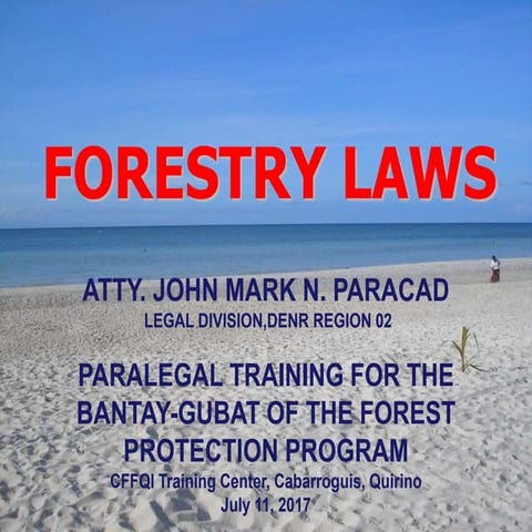 7. PD 705 & RELEVANT FORESTRY LAWS PHILIPPINES | PPT