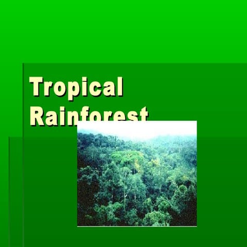 Forests | PPT