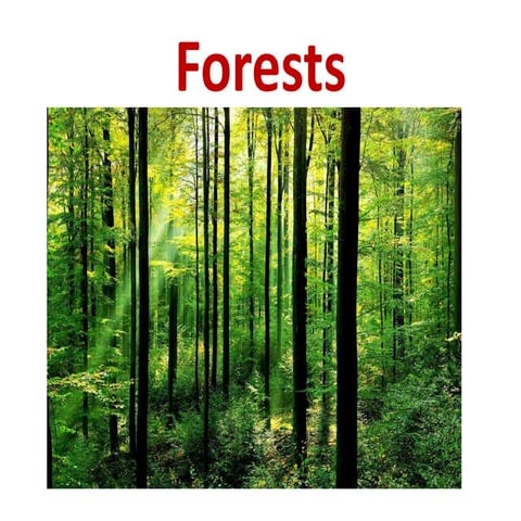 Forests | PPTX | Geography | Science