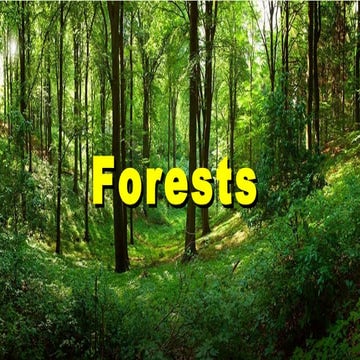Forests | PPT