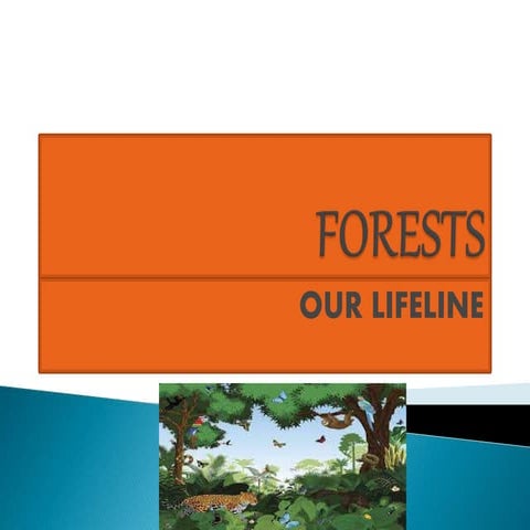 Forests | PPTX | Weather | Science