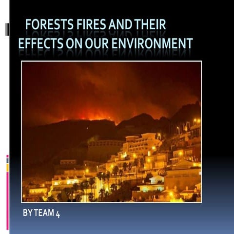 Forests and their effects on environment team 4_ | PPS