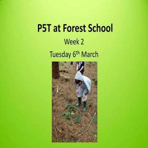Forest school 2 powerpoint | PPTX