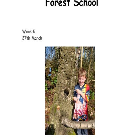 Forest school week 5 | ODP