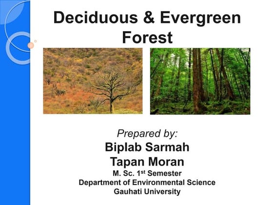 types of forest | PPTX | Geography | Science