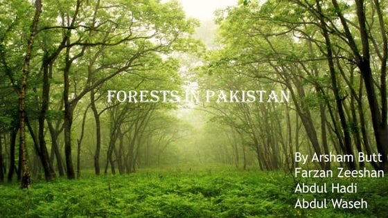 Forest resource | PPTX