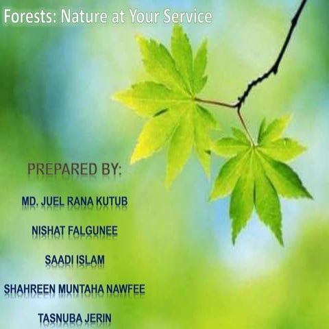 Forests Nature At Our Service Pptx