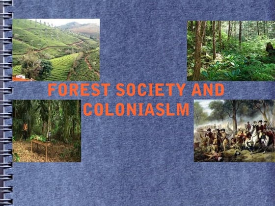 Chapter - 4, Forest Society and Colonialism, History, Social Science ...