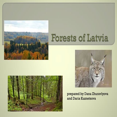 Forests of Latvia | PPTX