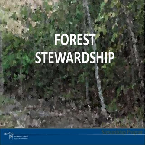 Forest stewardship | PPTX | Agriculture | Industries