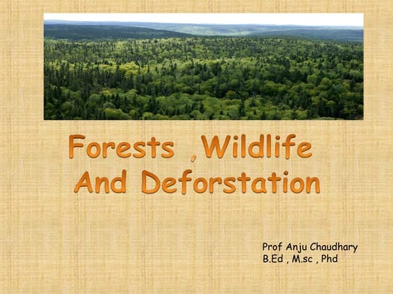 Forest and wildlife | PPT