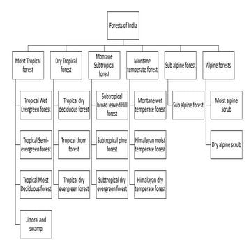 Classification and Description of Types of Forests | PPTX