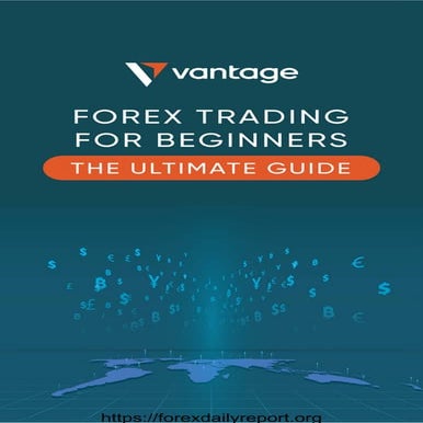 FOREX FUNDAMENTALS: A BEGINNER'S GUIDE.pdf