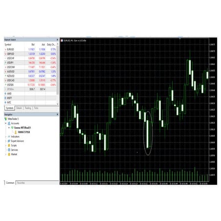 This is my first class: forex trading.pdf