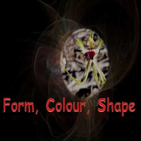 Form, Colour and Shape by Jelina Haines | PPTX