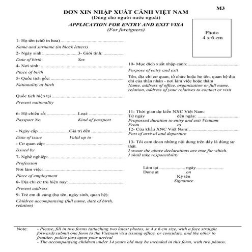 Application form Viet Nam Visa | PDF