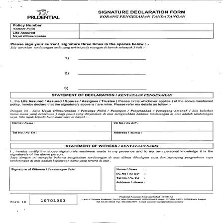 Signature Declaration Form | PDF