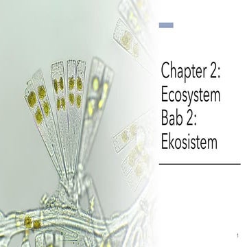 Form 2 DLP Chapter 2 Ecosystem | PDF