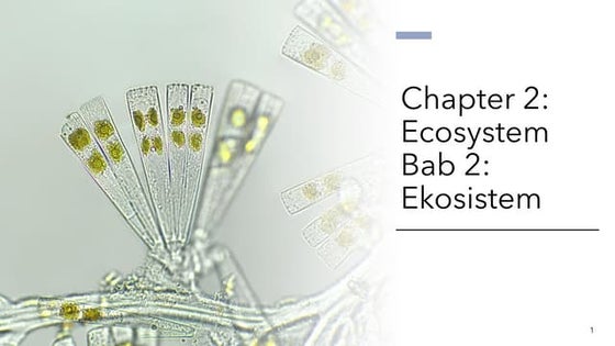 Chapter 4 science FORM 2 KSSM | PPT