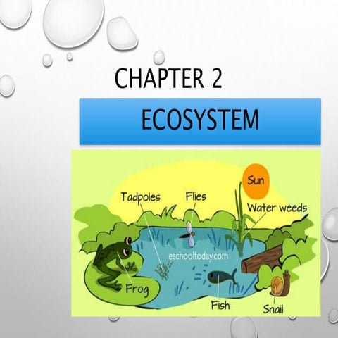 FORM 2 CHAPTER 2 ECOSYSTEM.pptx