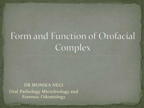 Dental anatomy reference_guide | PDF