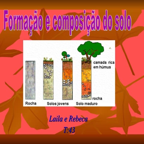 Formação e composição do solo | PPT