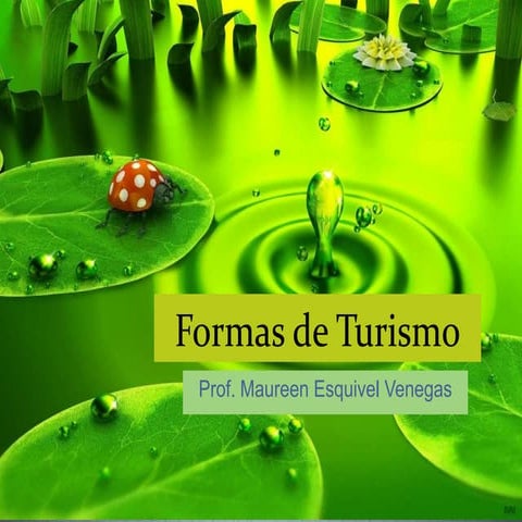 Formas de turismo | PPTX