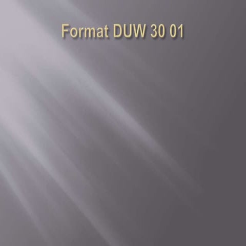 Format duw 31 01 | PPTX