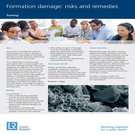 Formation Damage Presentation Group F | PPTX