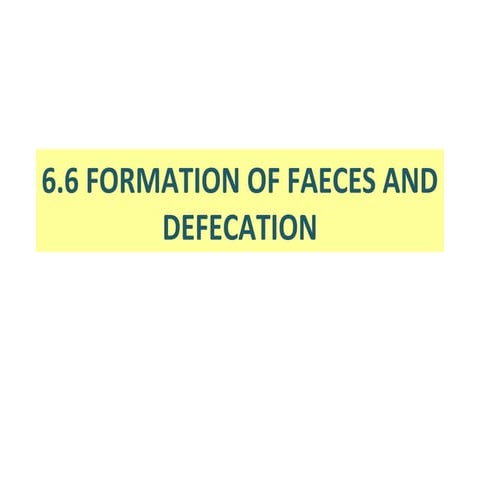 Formation of faeces and defecation | PPT