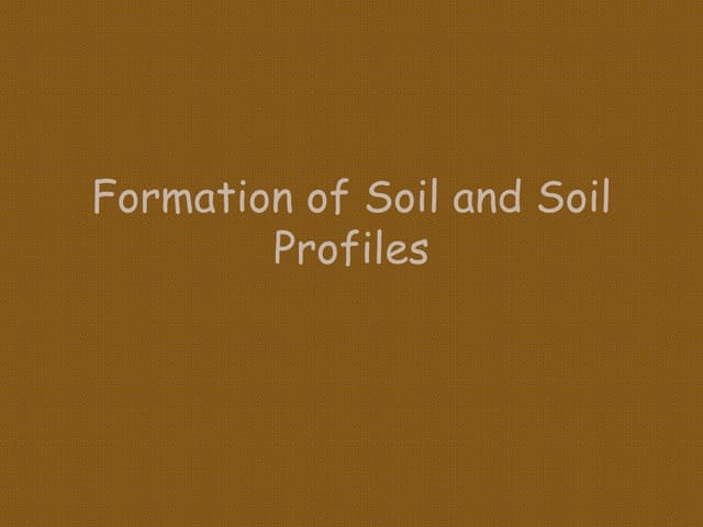 Types Of Rocks | PPT