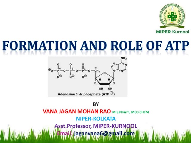 ATP- The universal energy currency of cell | PPT
