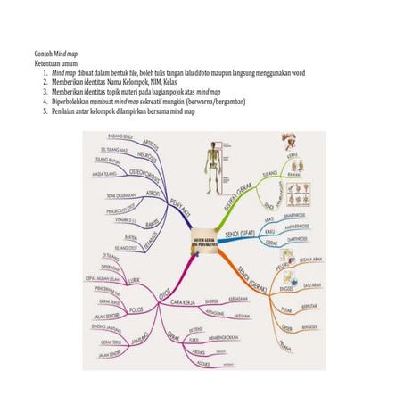 FORMAT MIND MAP.docx
