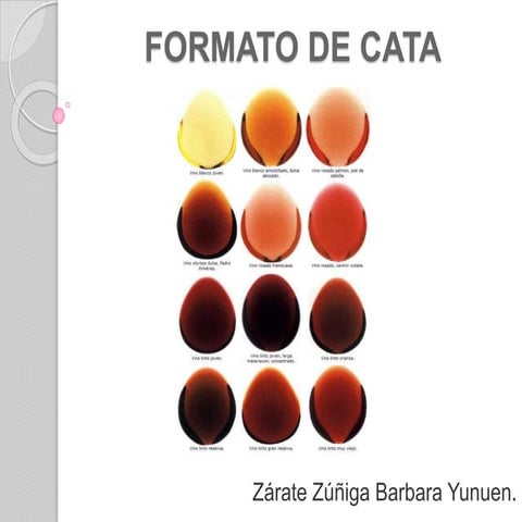 Formato de cata | PPTX