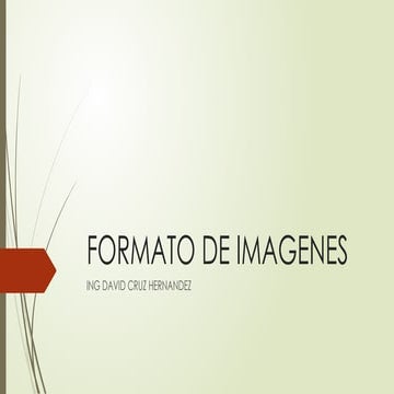 FORMATO DE IMAGENES DIGITALES CARACTERISTICAS.pptx