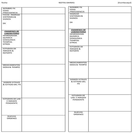 Formato de notas diarias para presentar pacientes | DOCX