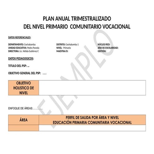 FORMATO DE PAT NIVEL PRIMARIA 2025.docxhj | DOCX