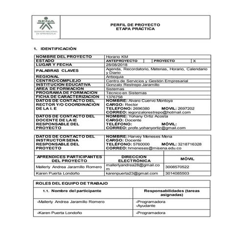 Formato etapa practica karen puerta - mallerly jaramillo | DOCX | Computing | Technology & Computing