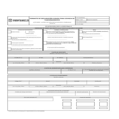 Formato licencias ddjj02 | PDF