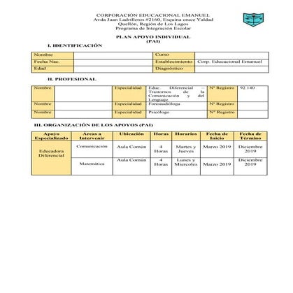 Formato Plan Apoyo Individual (PAI).doc