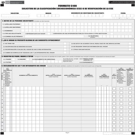 Formato S100.pdf