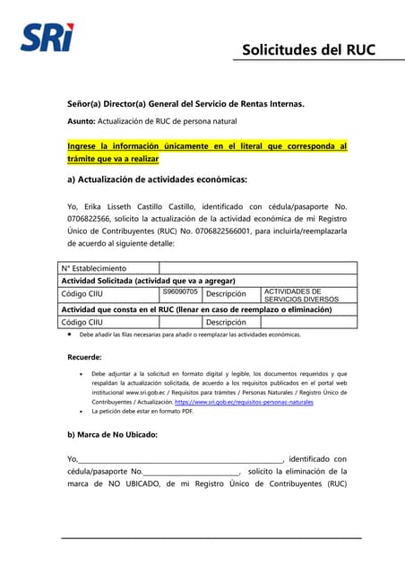 Formulario ruc01 a | PDF