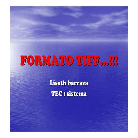 Formato de archivos tiff | PDF