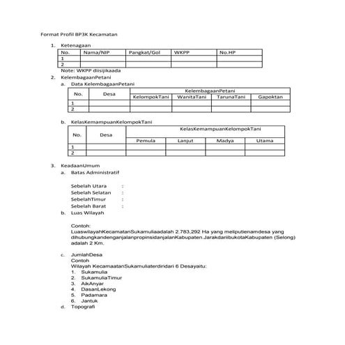 Format dp3 | DOC