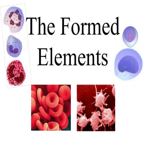 Formed elements | PPT