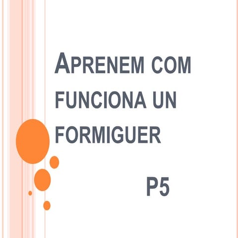 Formiguer | PPTX
