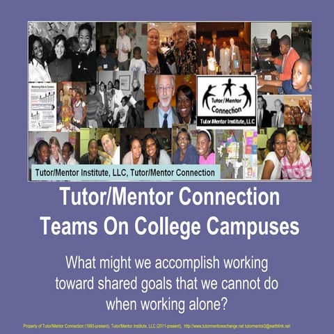 Forming a Tutor/Mentor Connection on a College Campus | PDF