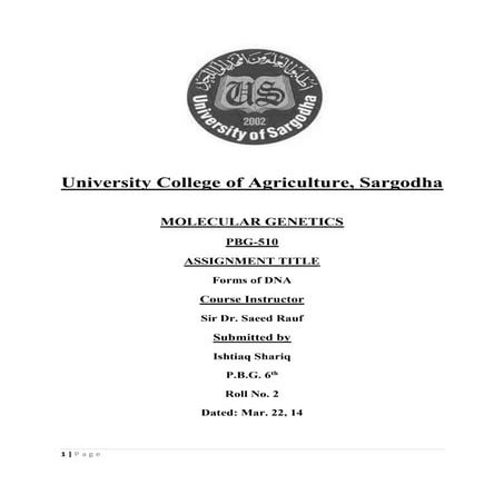 FORMS OF DNA | PDF